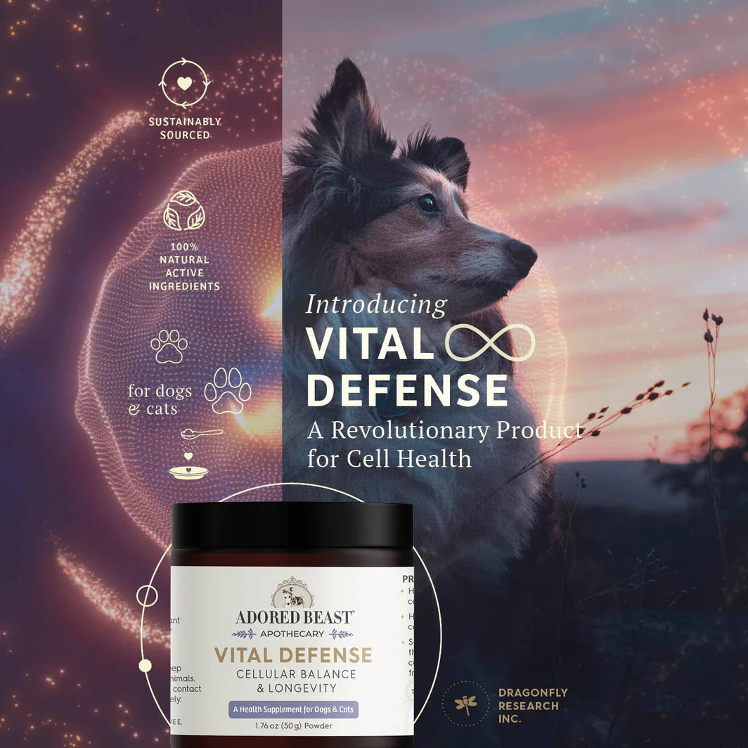 Adored Beast Vital Defense｜Paws Up 一切從寵物健康角度出發 – Paws Up｜肉球辦館